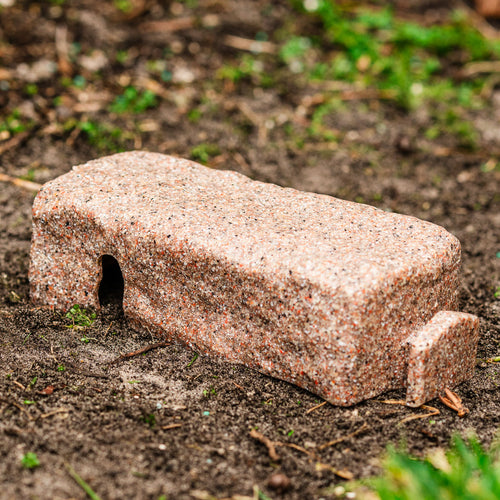 Beuta Bricks - Beuta