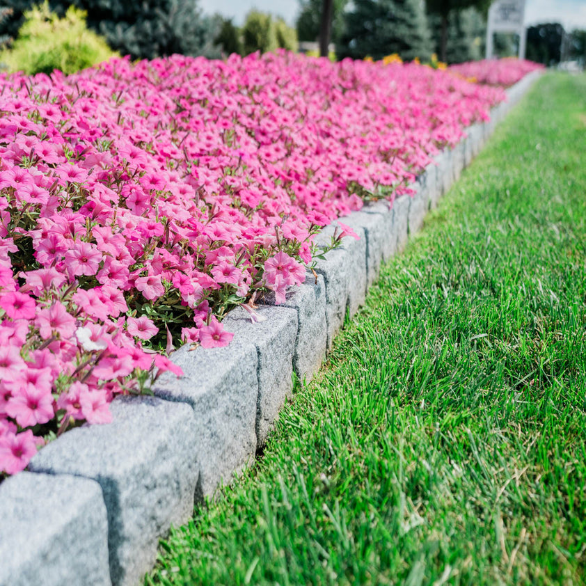 Beuta Blocks - Beuta