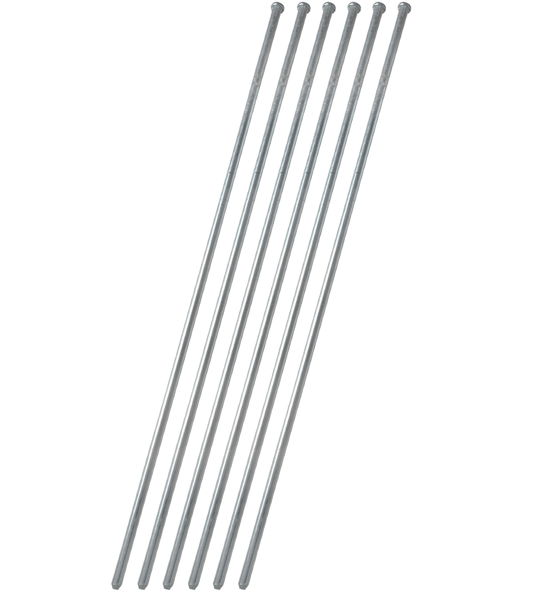 EXTRA 6-Pack Beuta Metal Heavy Duty Stainless Steel Landscape Spikes