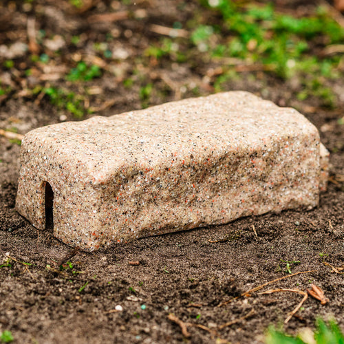 Beuta Bricks - Beuta